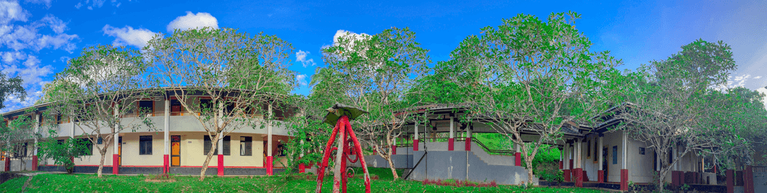 Ruhunu National College